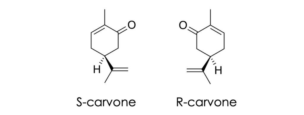 How is odor recognition different than chemical analysis? | Aryballe